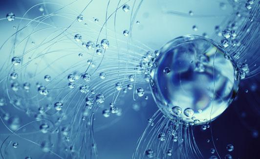 Spectrum Chemical offers the largest selection of monograph chemicals